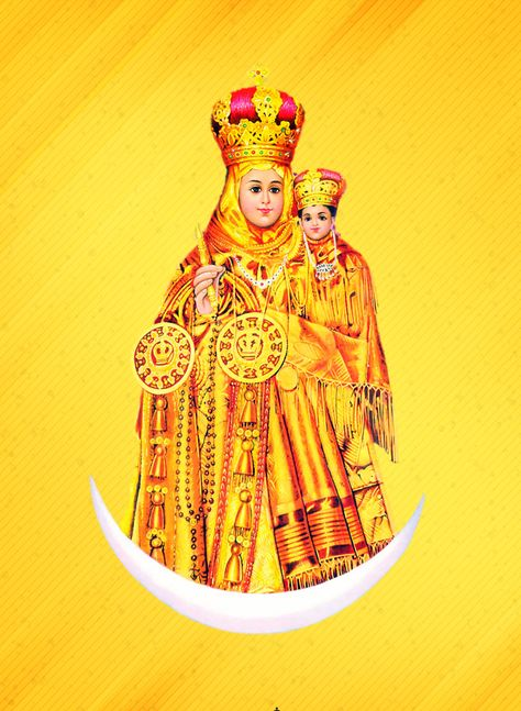 Our Lady of Velankanni Novena and Feast – Our Lady of Lourdes Parish